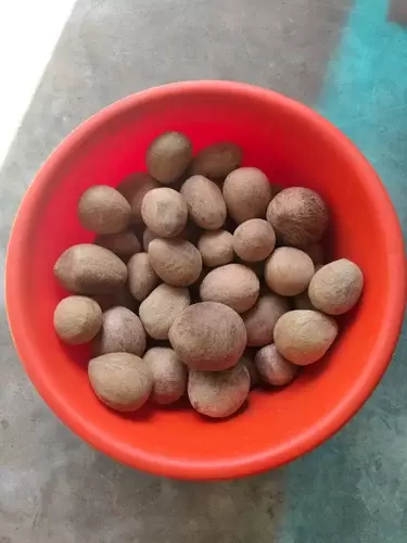 Dried Coconut Ball Copra
